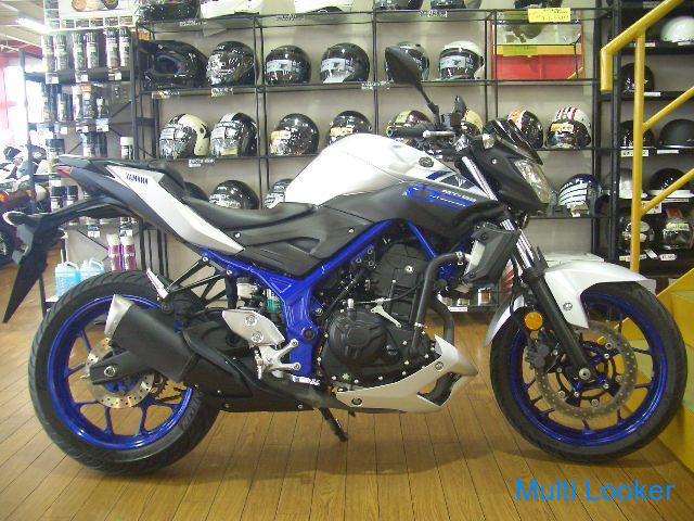 Yamaha MT-03 (matte silver) Ama - multilooker