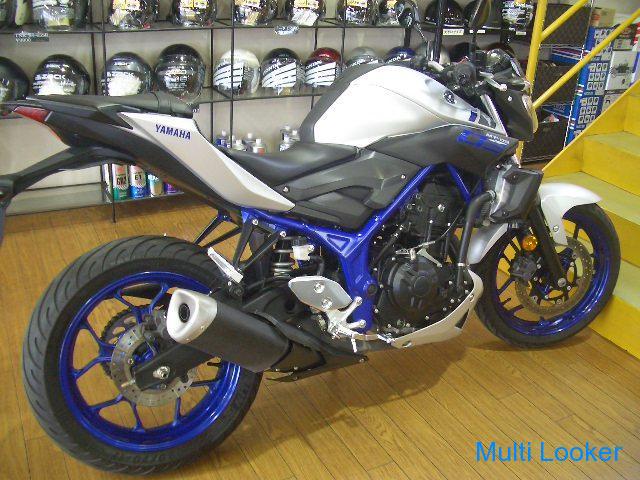 Yamaha MT-03 (matte silver) Ama - multilooker