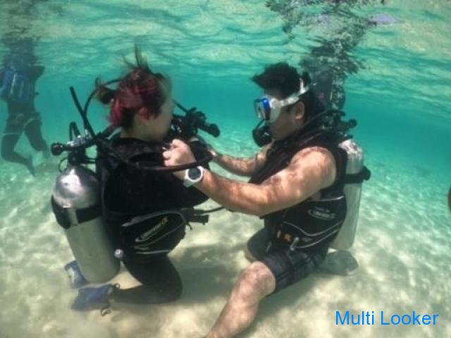 Diving C card (open water diver) acquisition course Kunigami - multilooker